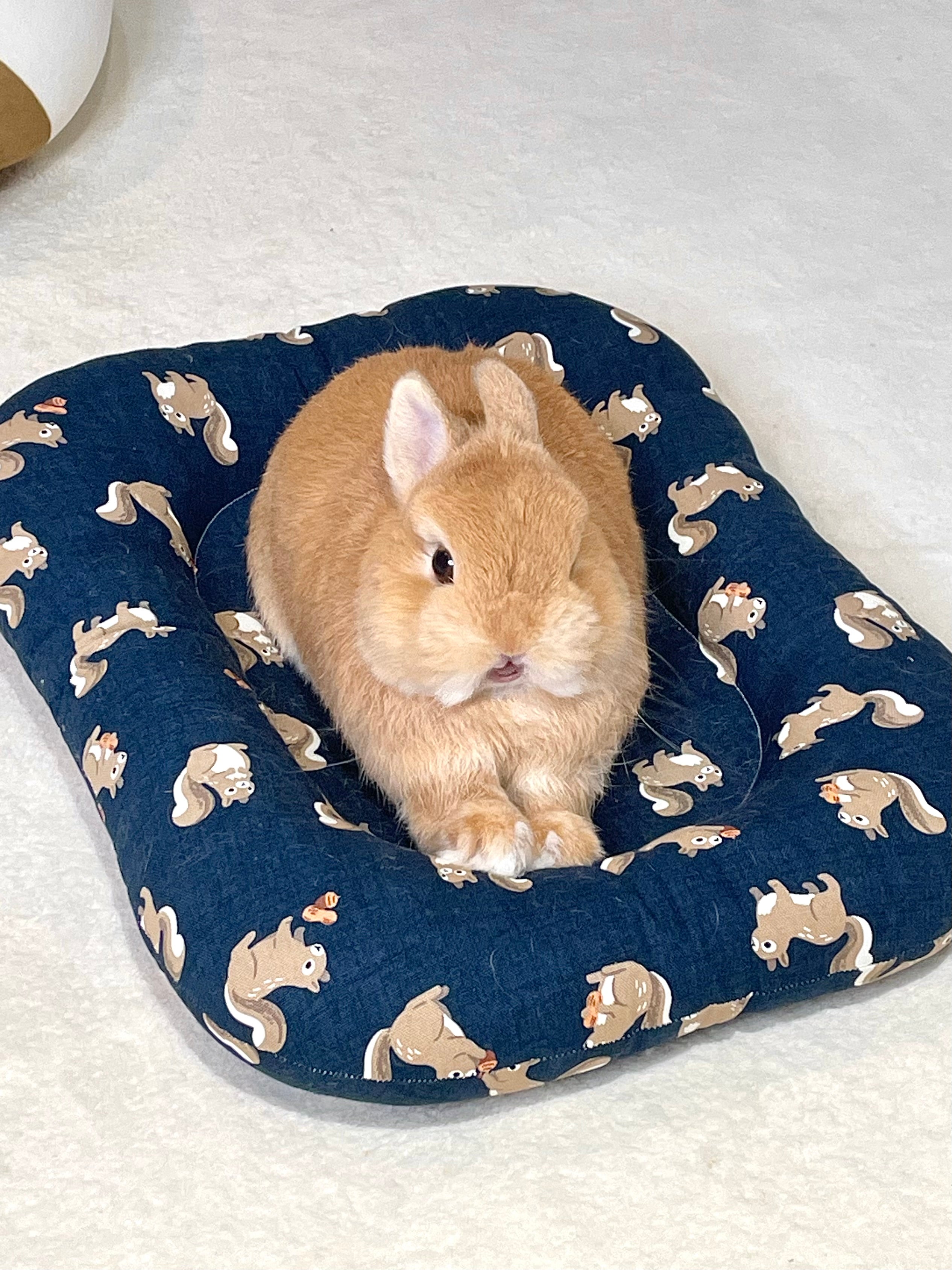 Bunny bed – Bunny Fashion Wear